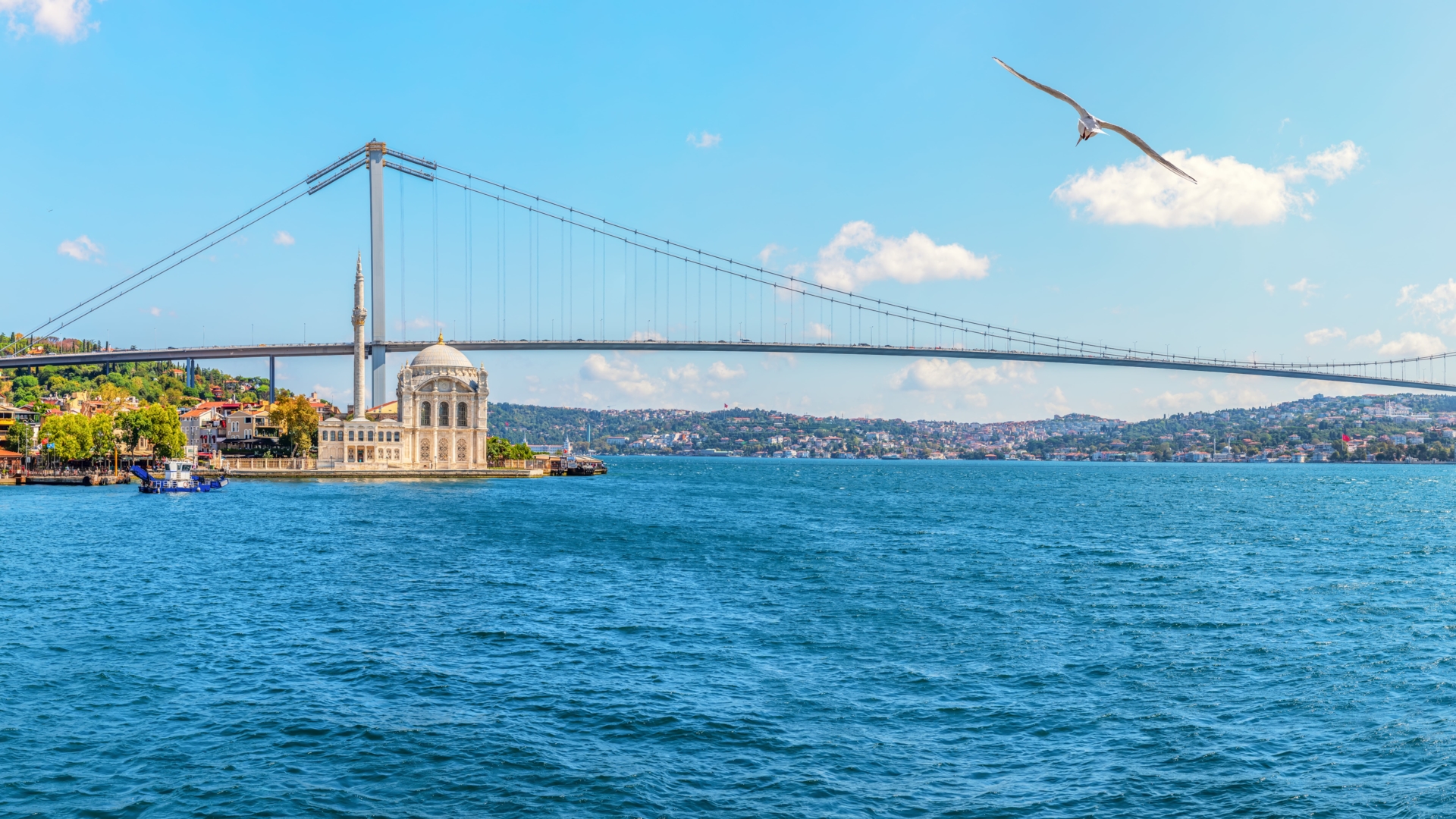 Deutsch-Türkische Industrie- und Handelskammer | AHK Türkiye